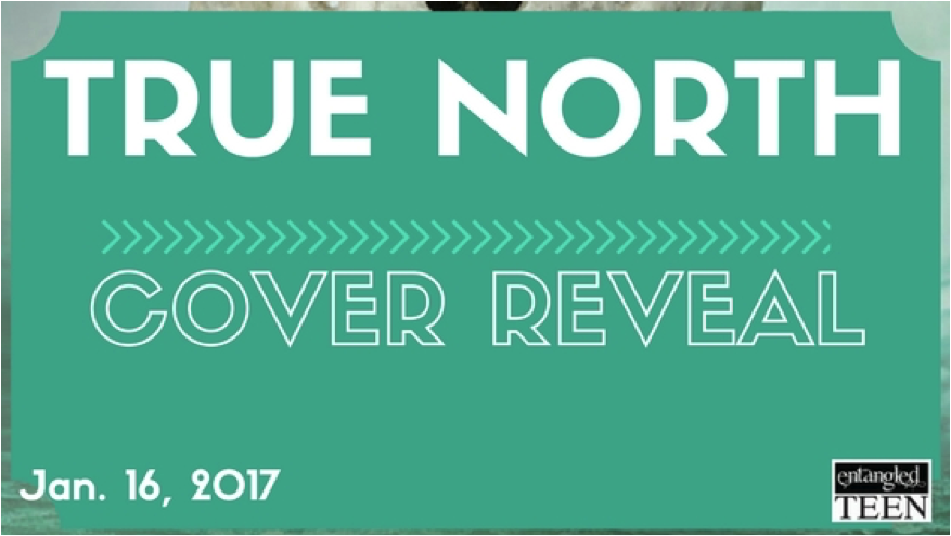 True North Cover Reveal! | pooled ink